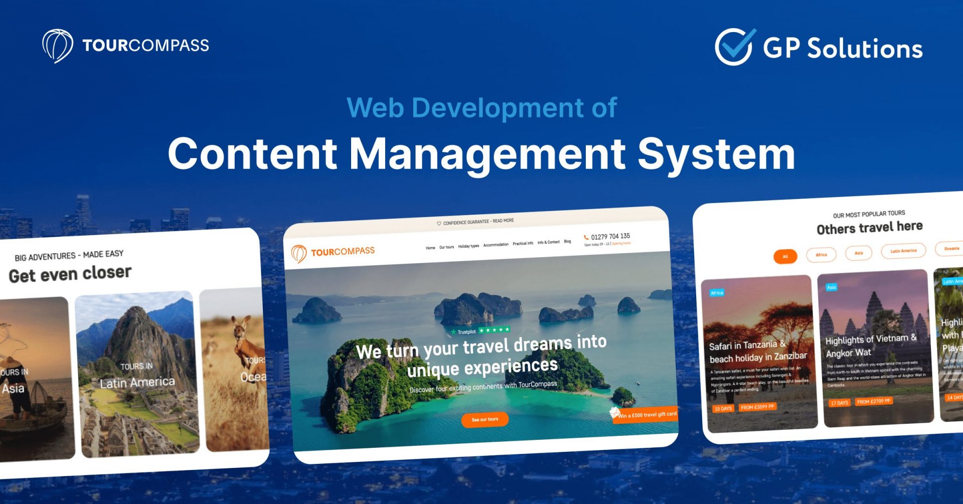 Digitalization Strategy Set for Safari Tour Company - Case Study